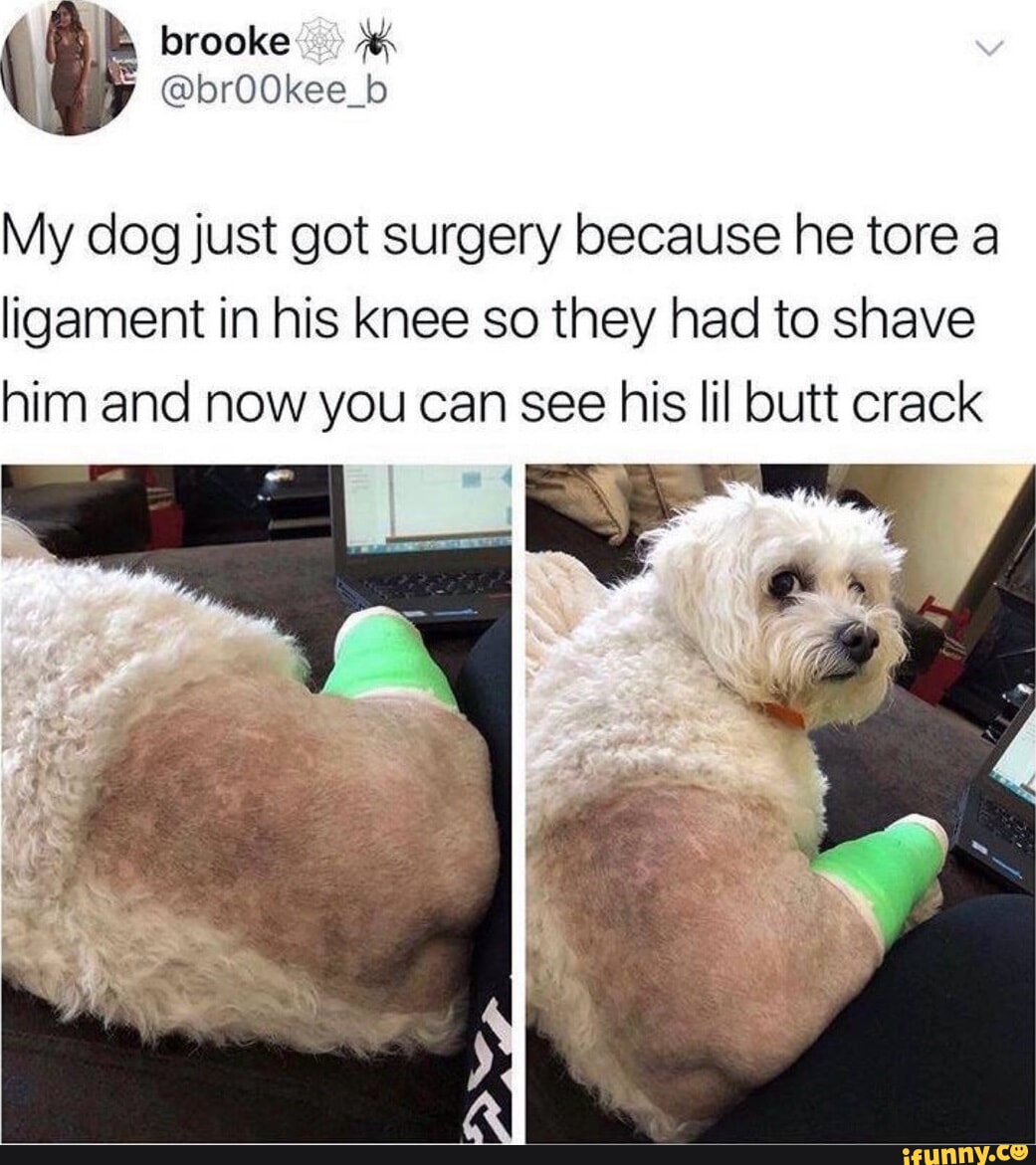 Ligament memes. Best Collection of funny Ligament pictures on iFunny