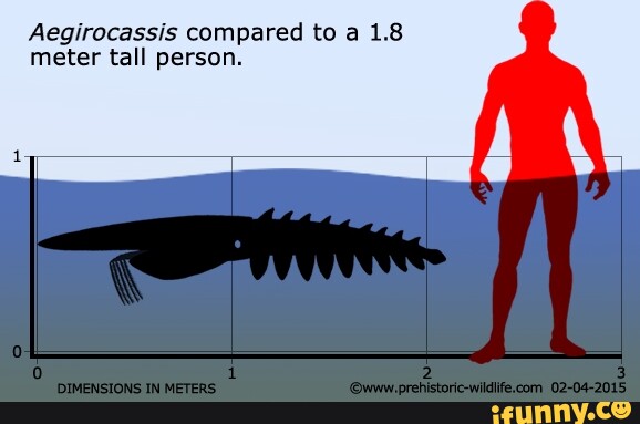 Aegirocassis compared to a 1.8 meter tall person. - iFunny