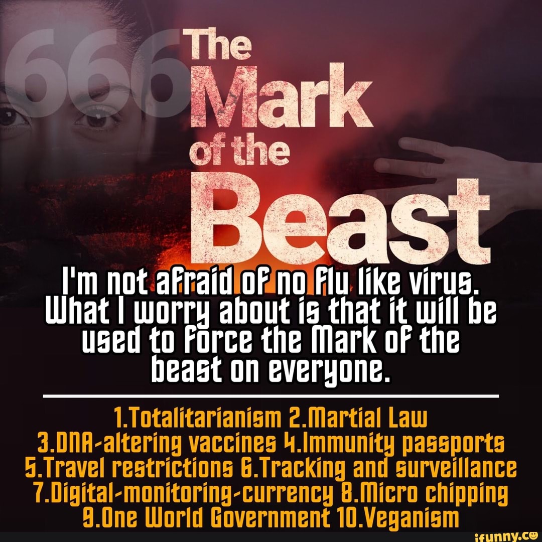 Lulwut memes. Best Collection of funny Lulwut pictures on iFunny