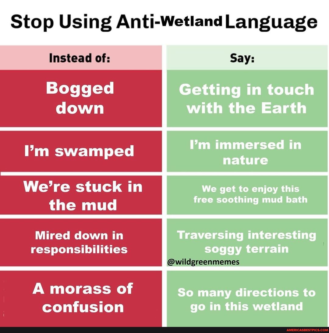 🏞️ Meme by @ionlyneedanimals - Stop Using Anti-Wetland Language Instead ...