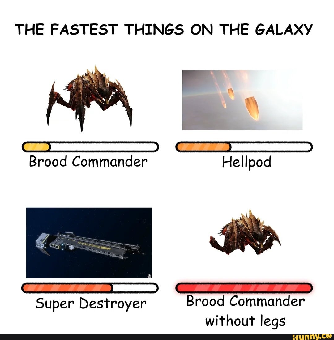 Phil Jamesson Biology 201 Midterm The Mammal and The Reptile - A ...