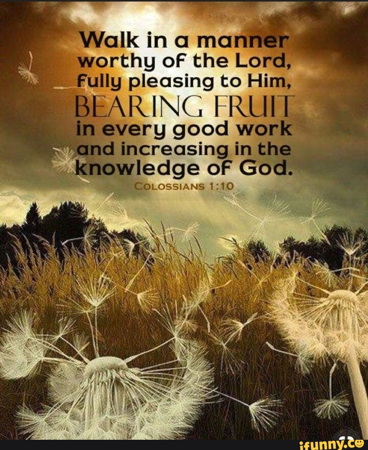 Inenner worthy of the Lord, Gully pleasing to Him, AR ING FRUIT im ...