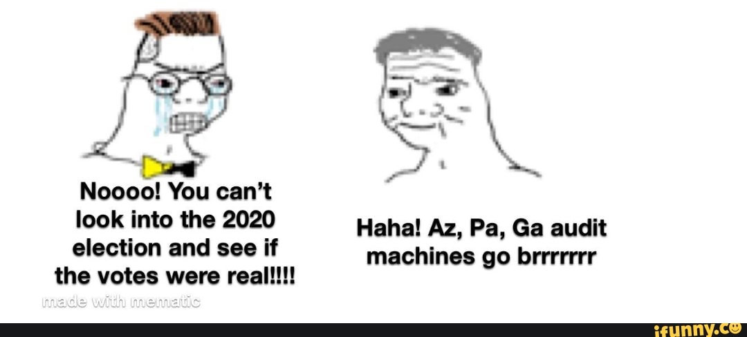 Noooo! You can't look into the 2020 election and see if the votes were ...