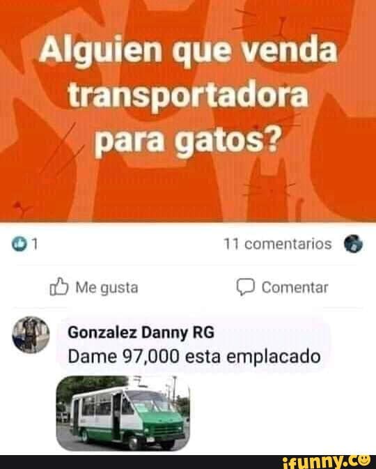 Transportadore memes. Best Collection of funny Transportadore pictures ...