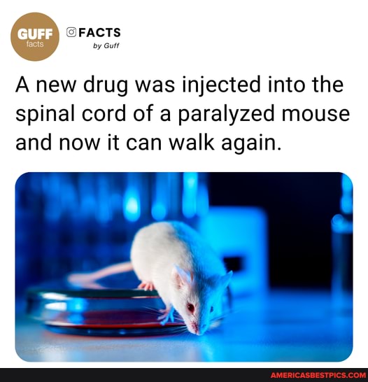 FACTS by facts A new drug was injected into the spinal cord of a ...