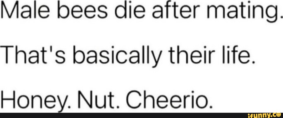 Male bees die after mating. That's basically their life. Honey. Nut ...