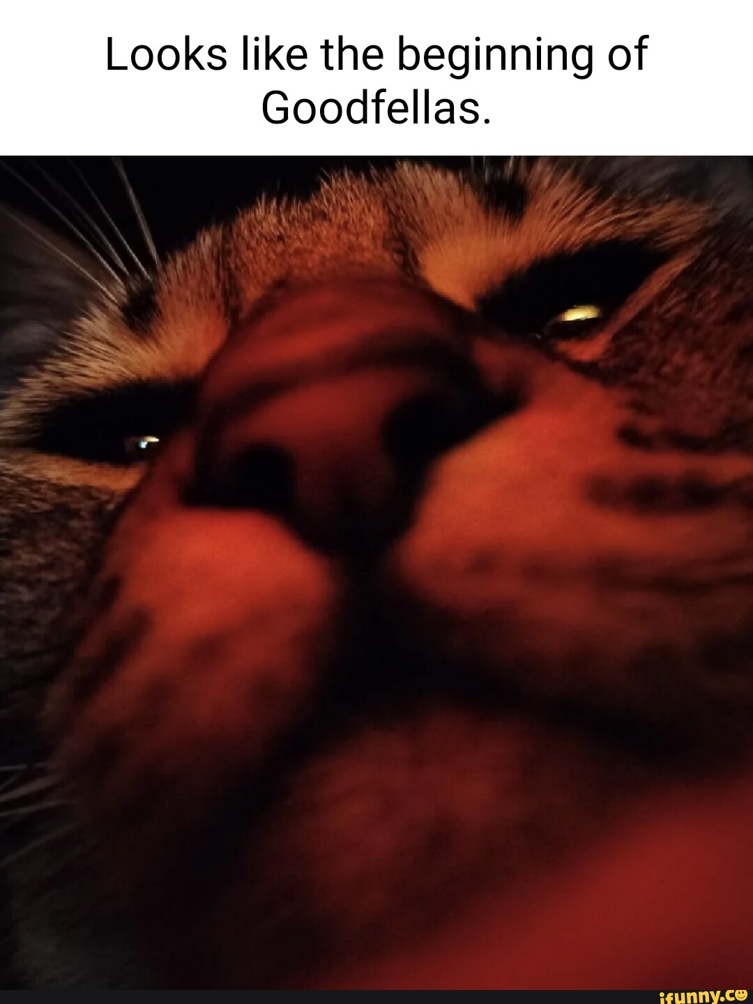 Goodfellas memes. Best Collection of funny Goodfellas pictures on iFunny