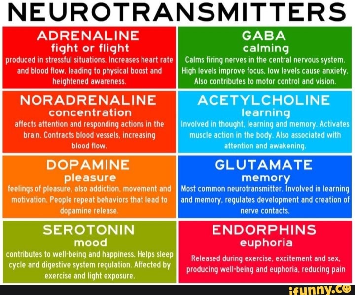 NEUROTRANSMITTERS ADRENALINE fight or flight produced in stressful ...