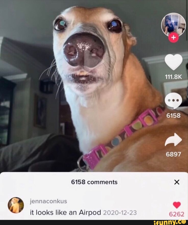 Airpod memes. Best Collection of funny Airpod pictures on iFunny