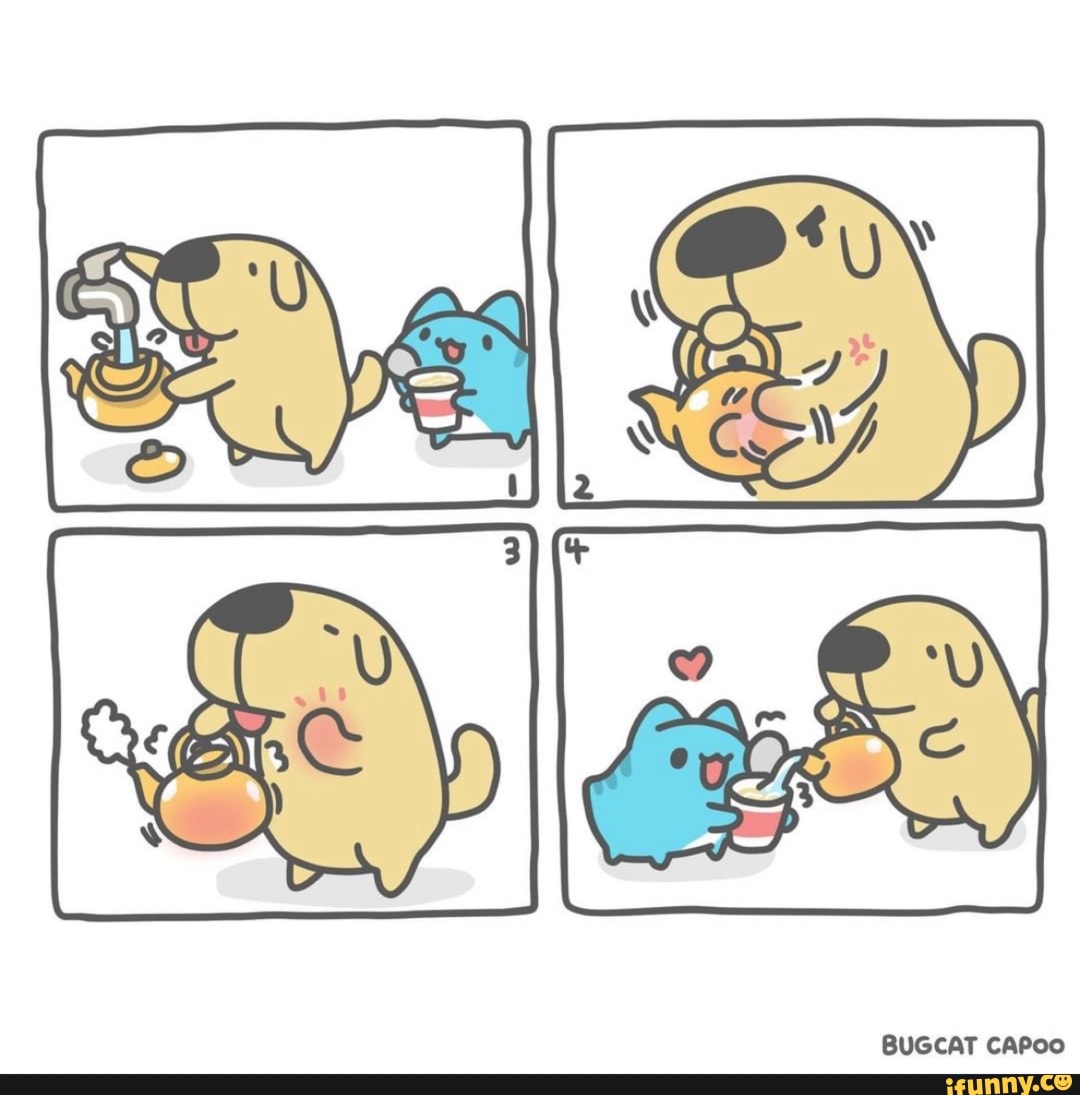 Capoo memes. Best Collection of funny Capoo pictures on iFunny