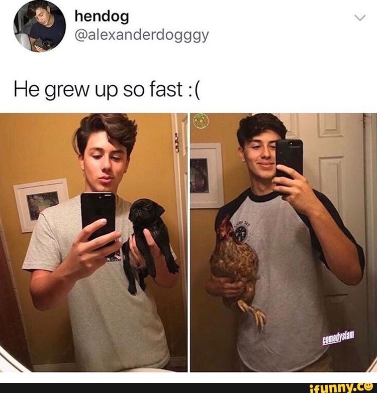 He grew up so fast :( - iFunny