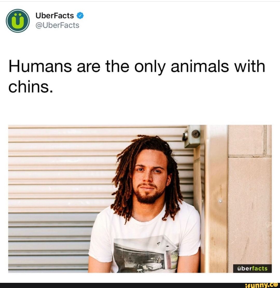 Humans are the only animals with chins. - ) Humans are the only animals with chins. - )