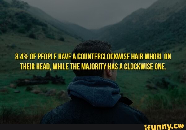 8.4% OF PEOPLE HAVE A COUNTERCLOCKWISE HAIR WHORL ON THEIR HEAD, WHILE ...