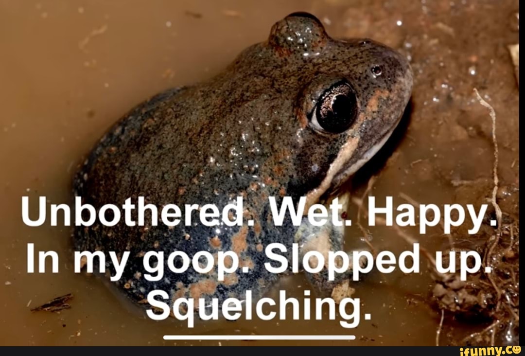 Unbothered. Wet. Happy. In my goop. Slopped up. Squelching. - iFunny