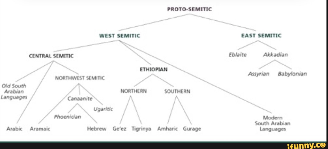 Ethiopian memes. Best Collection of funny Ethiopian pictures on iFunny