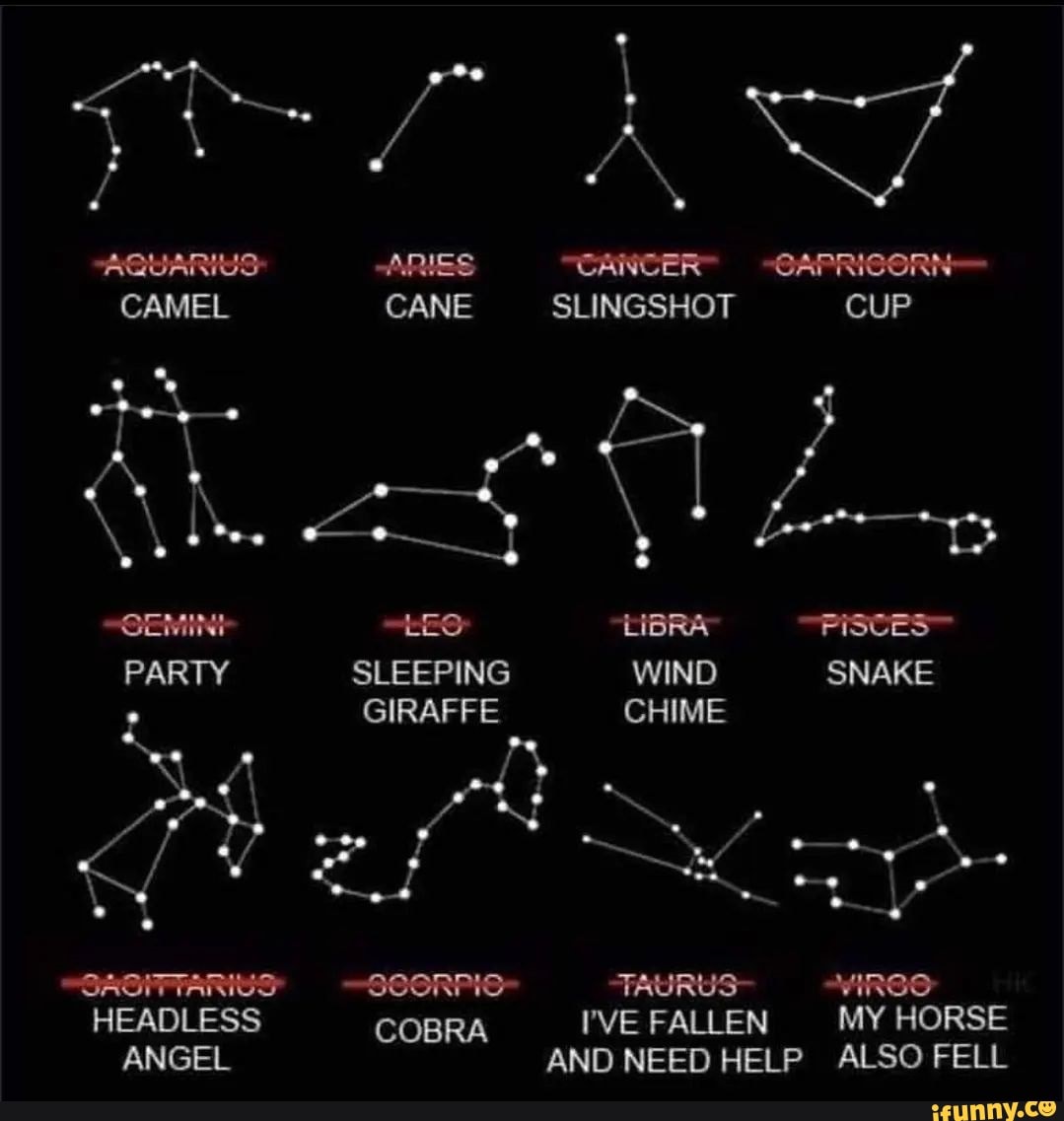 AN, \ fe SANT ~-CAPRICORN-- "AQUARICGS: ARES CAMEL CANE SLINGSHOT CUP ...