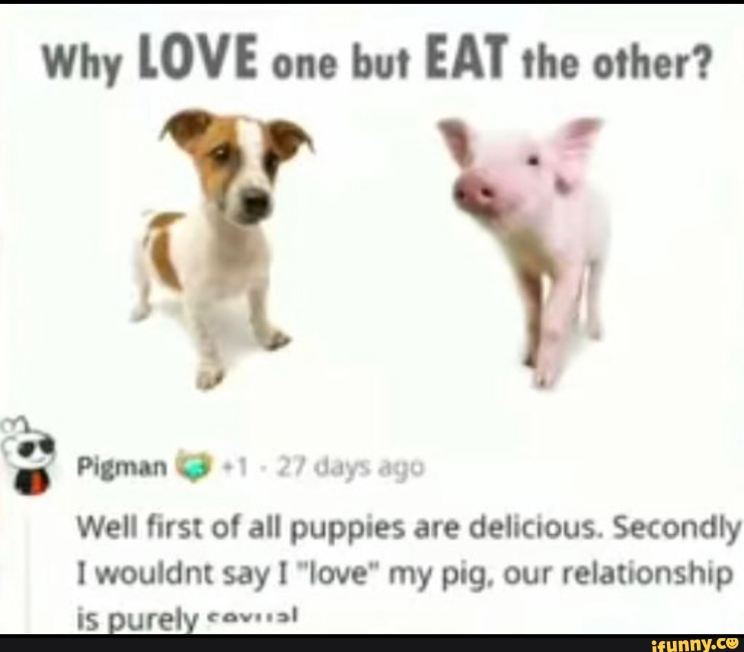 Pigman memes. Best Collection of funny Pigman pictures on iFunny