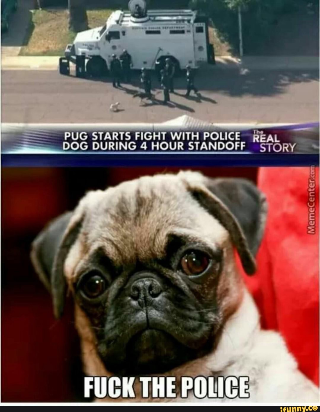 PUG STARTS FIGHT WITH POLICE HEAL , DOG DURING 4 HOUR STANDOFF - iFunny