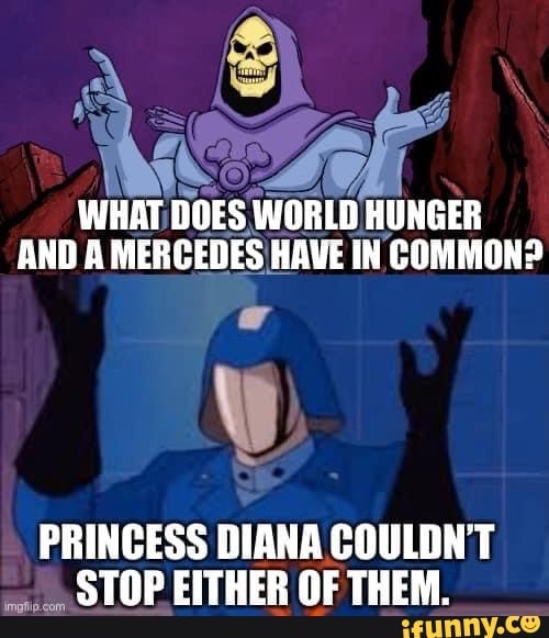 WHAT DOES WORLD HUNGER AND A MERCEDES HAVE IN COMMON? PRINCESS DIANA ...