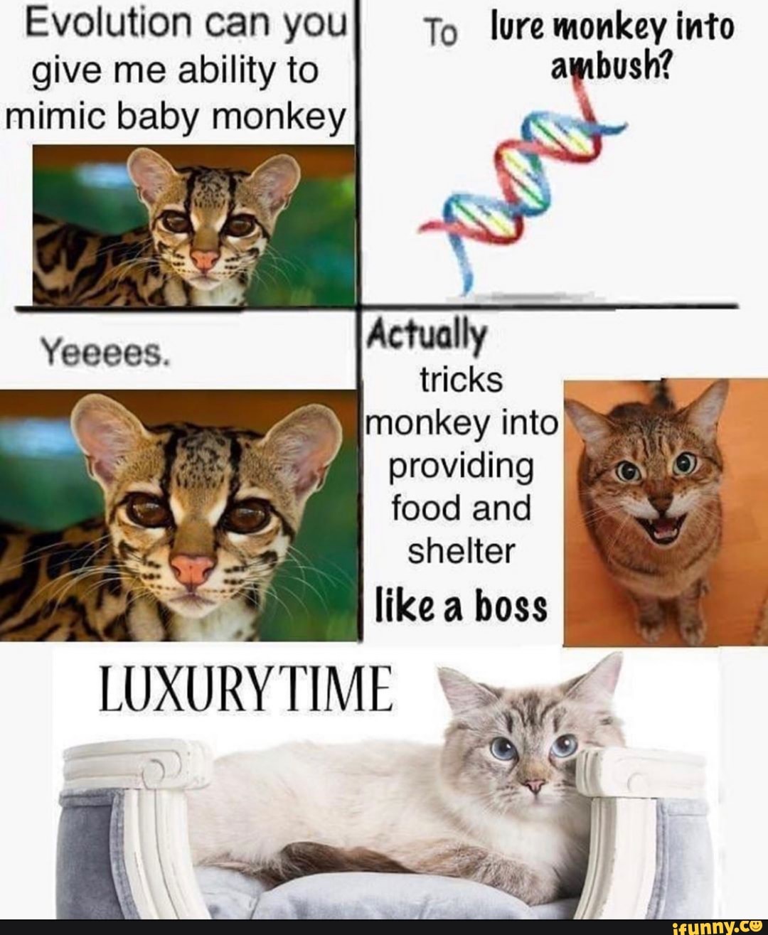 Evolution can you give me ability to mimic baby monkey To lure monkey ...