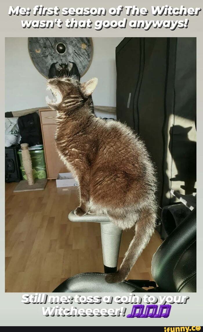 Toss_a_coin memes. Best Collection of funny Toss_a_coin pictures on iFunny