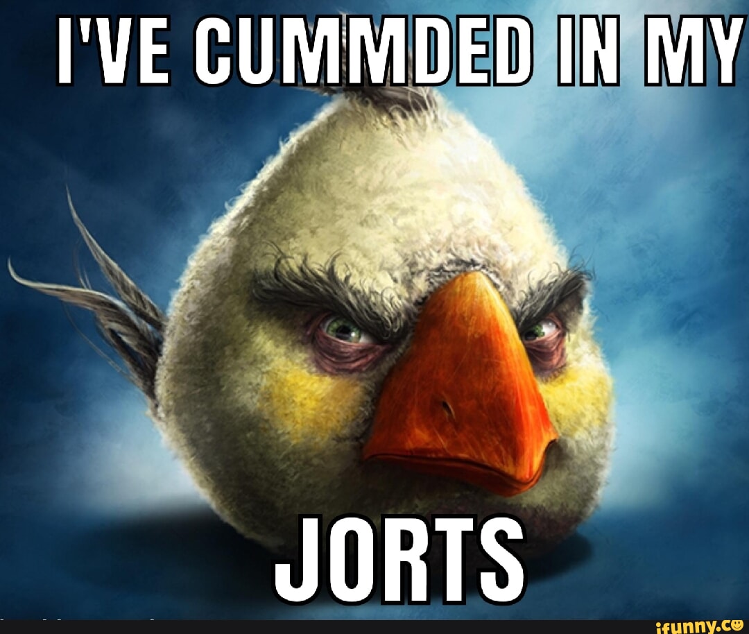 Jorts memes. Best Collection of funny Jorts pictures on iFunny