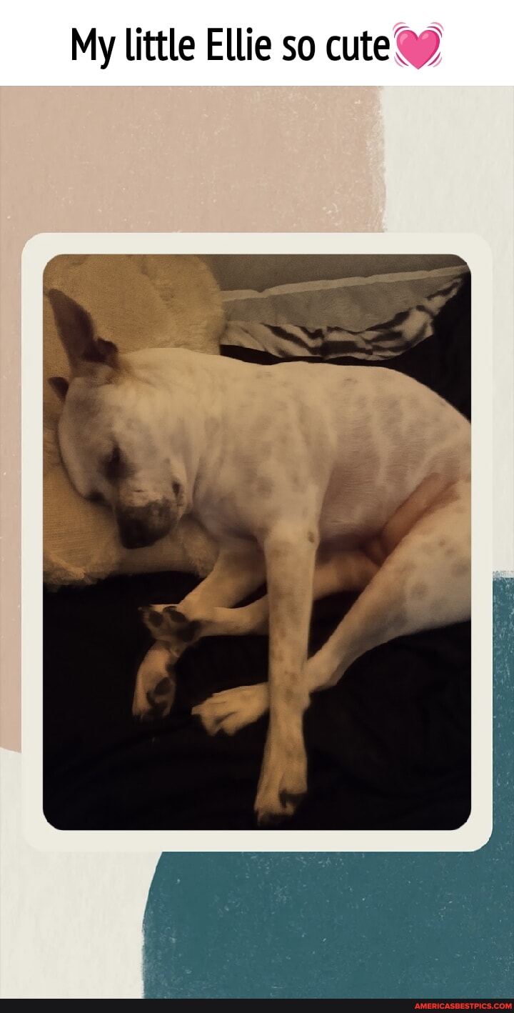 My little Ellie so cute - America’s best pics and videos