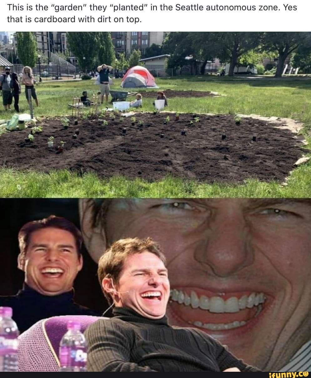 This is the "garden" they "planted" in the Seattle autonomous zone. Yes ...