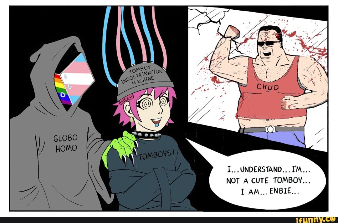 .UNDERSTAND.. .TM... NOT A CUTE TOMBOY... AM... ENBIE... - iFunny