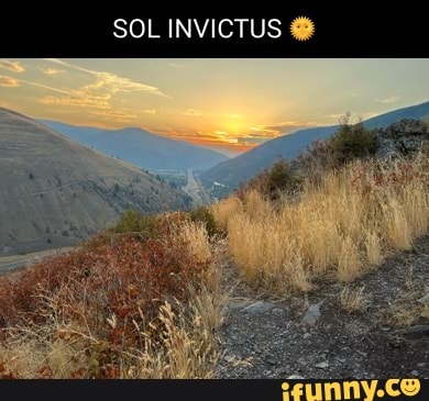 Sol memes. Best Collection of funny Sol pictures on iFunny