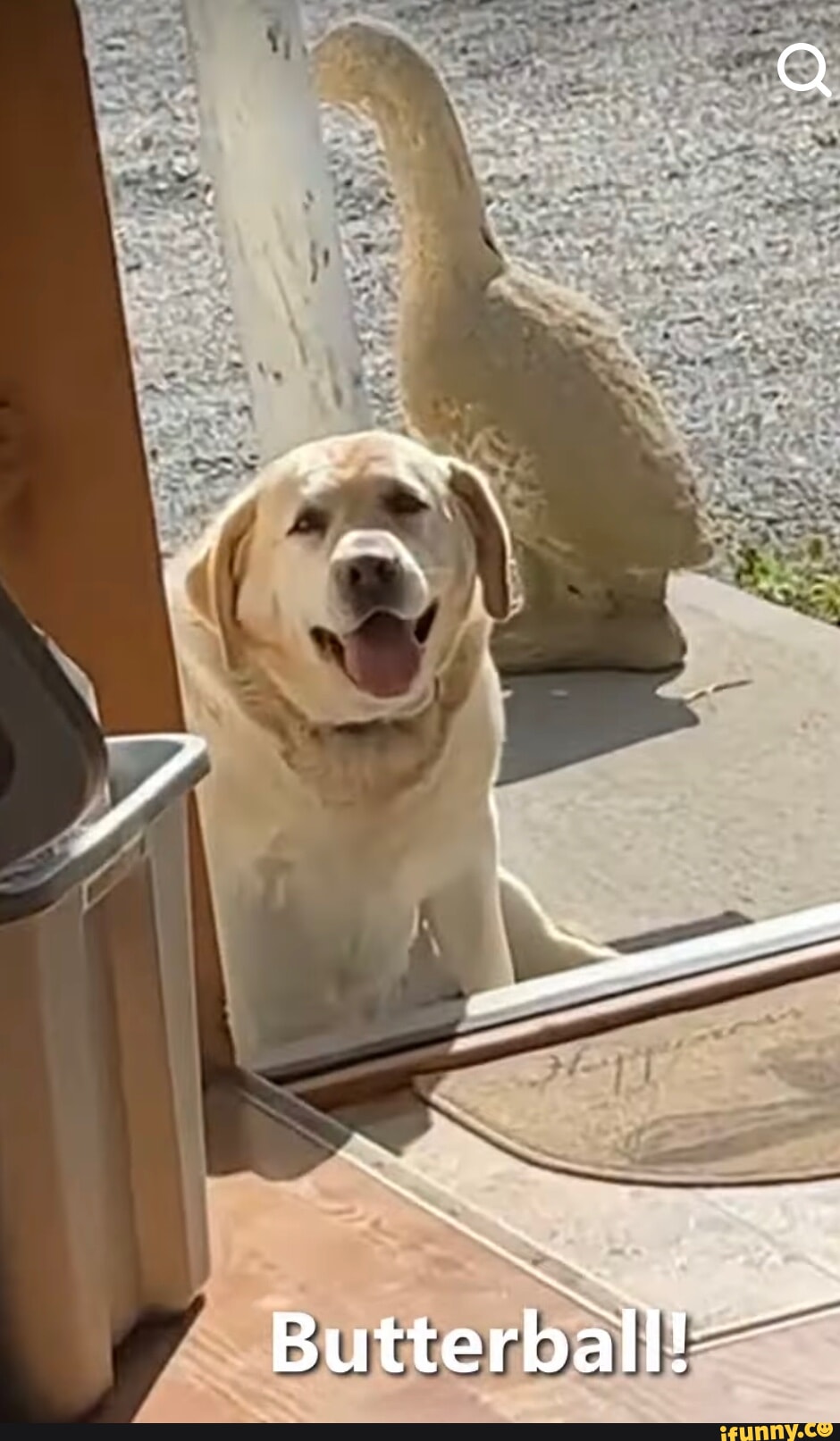 Butterball memes. Best Collection of funny Butterball pictures on iFunny