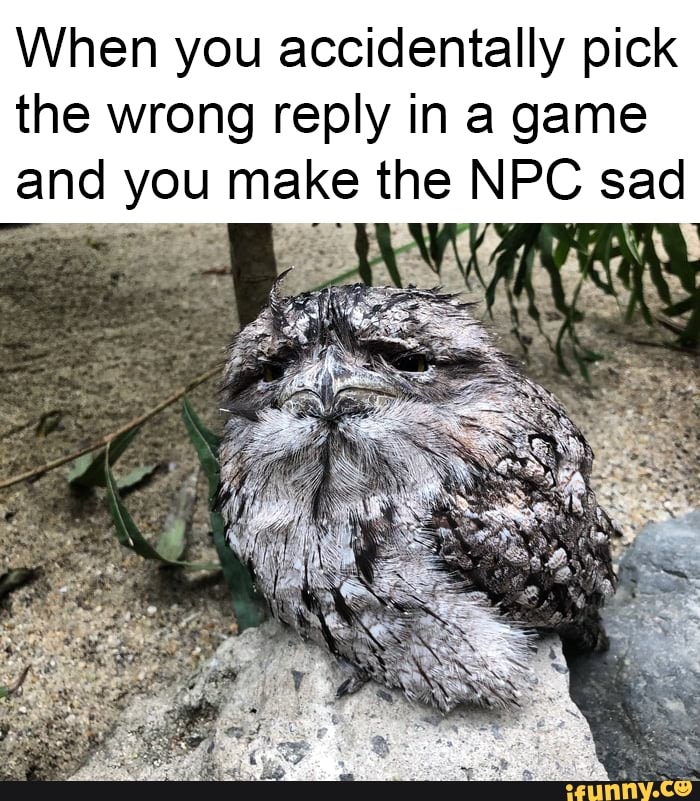 When you accidentally pick the wrong reply in a game and you make the ...