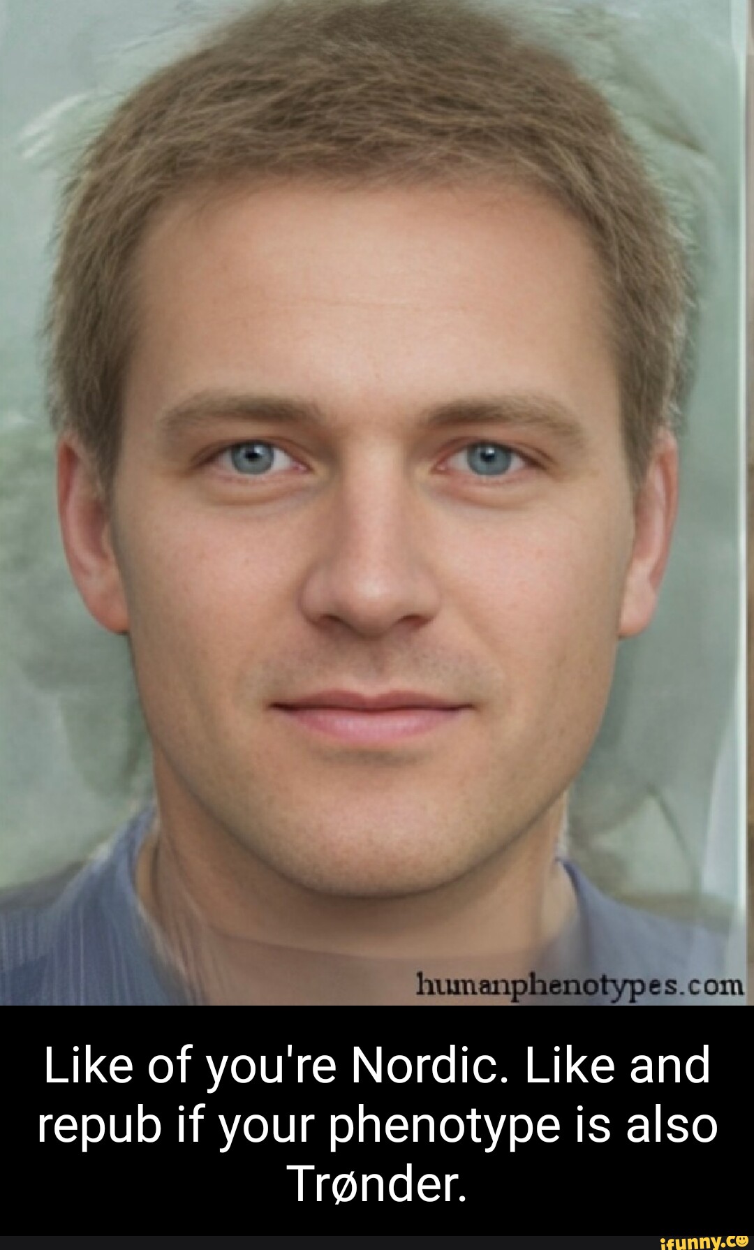 Phenotype memes. Best Collection of funny Phenotype pictures on iFunny