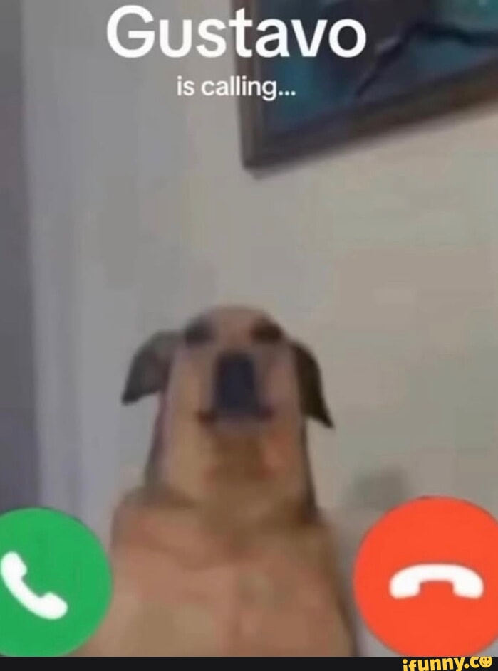Gustavo is calling... - iFunny