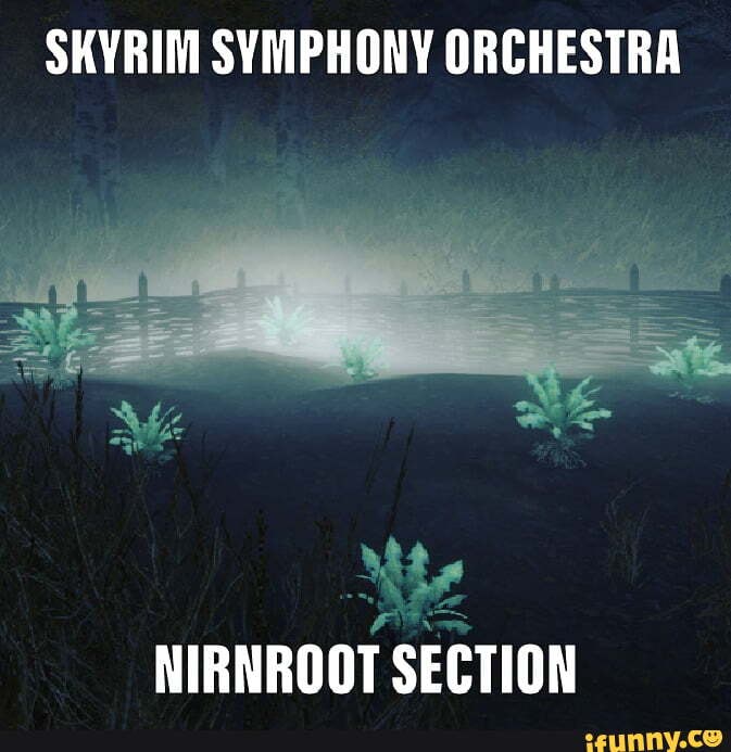 SKYRIM SYMPHONY ORCHESTRA NIRNROOT SECTION - iFunny