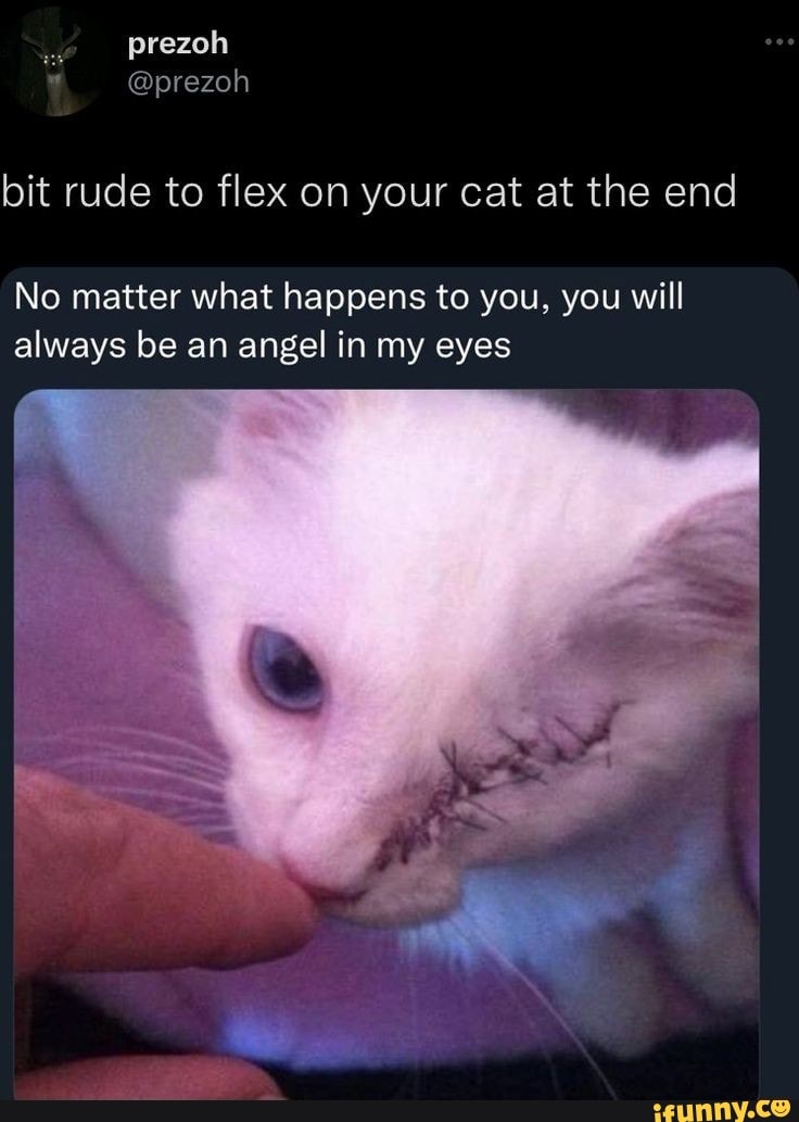 Prezoh bit rude to flex on your cat at the end No matter what happens ...