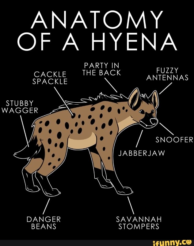 ANATOMY OF A HYENA PARTY IN CACKLE THE BACK SPACKLE STUBBY WAGGER FUZZY ...