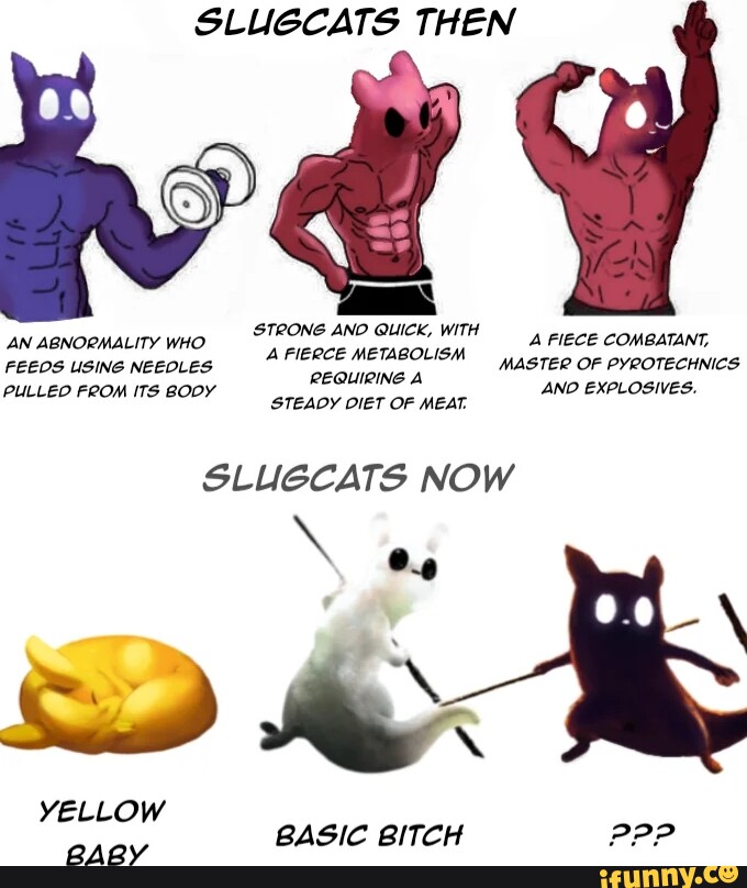 Invcat memes. Best Collection of funny Invcat pictures on iFunny