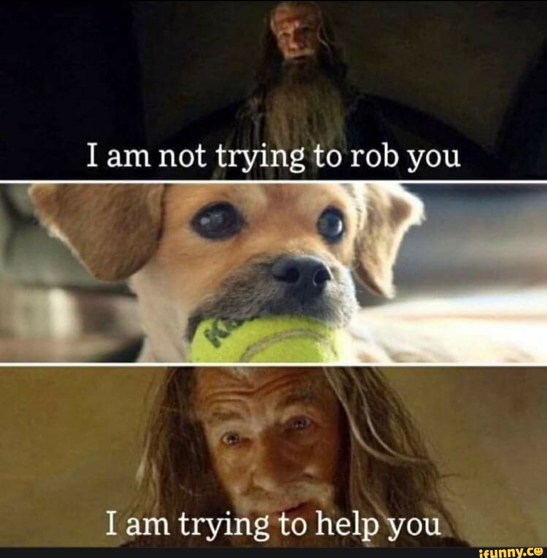 I am not trying to rob you Lam trying to help you Ye - iFunny