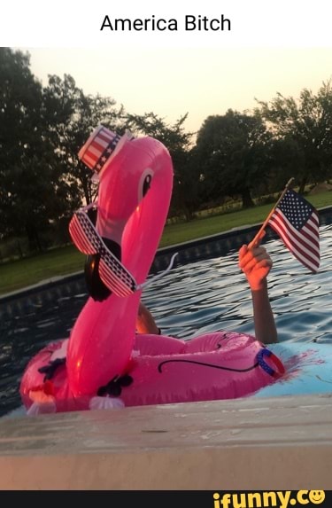 America Bieh - iFunny Brazil