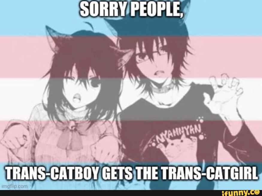 Its me I am the trans catboy - SORRY PEOPLE, + 4 TRANS-CATBOY GETS THE ...
