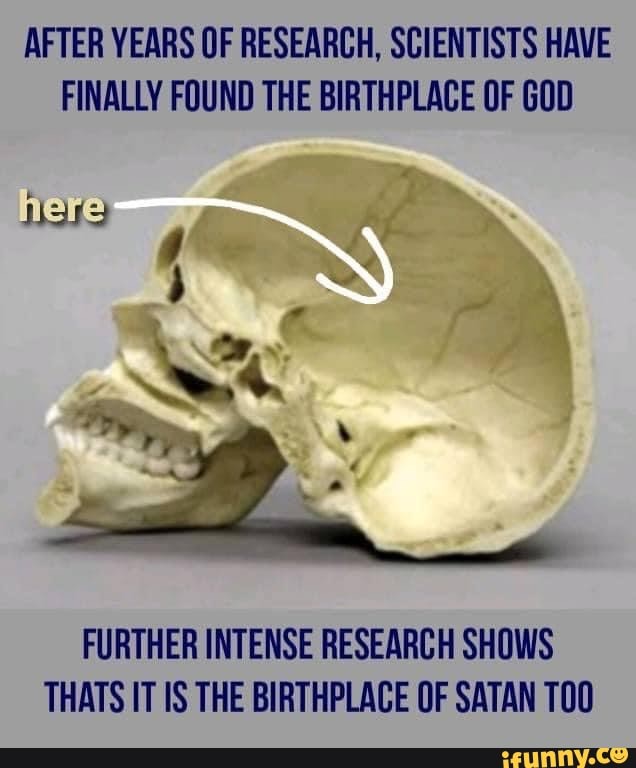 AFTER YEARS OF RESEARCH, SCIENTISTS HAVE FINALLY FOUND THE BIRTHPLACE ...