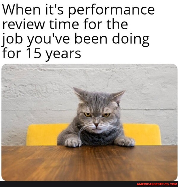 When it's performance review time for the job you've been doing for 15 ...