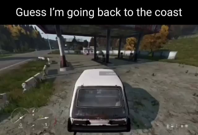 Dayz Alpha Memes