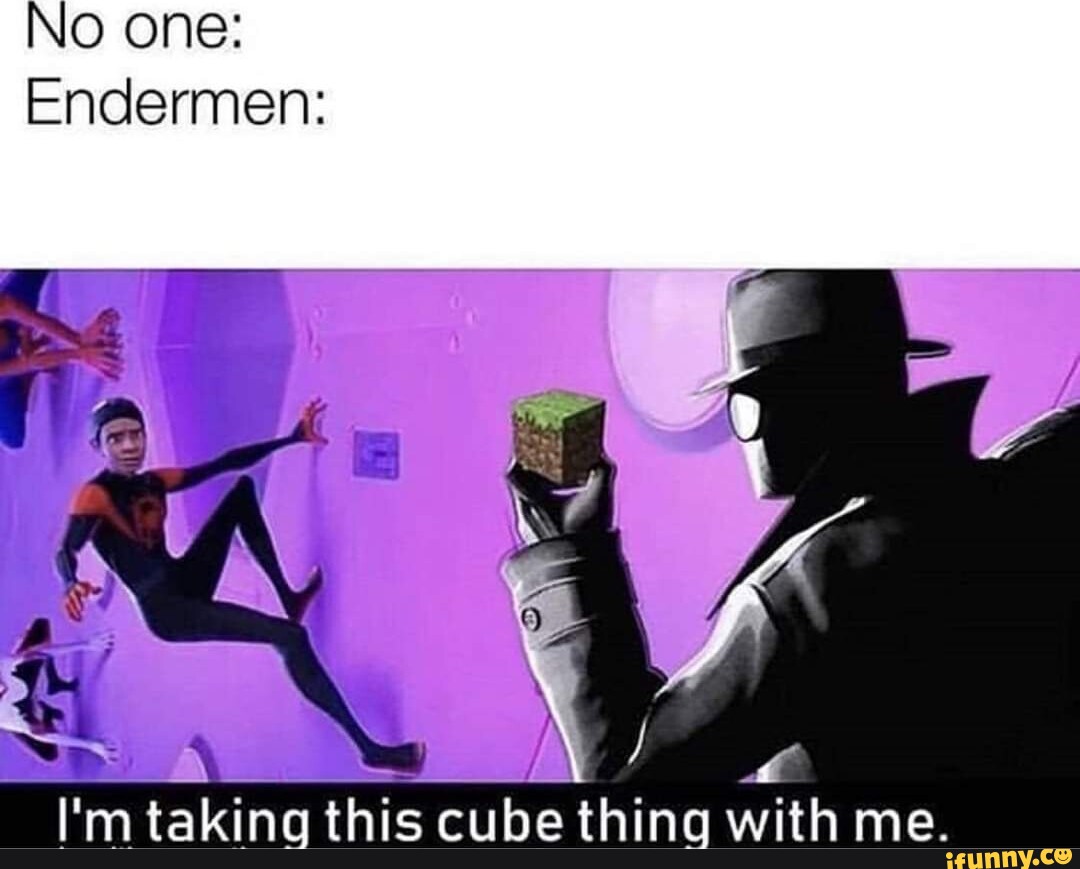 No one: Endermen: I'm taking this cube thing with me. - iFunny
