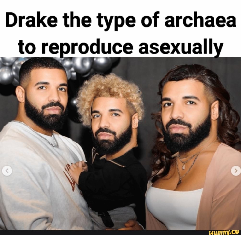 Drake the type of archaea to reproduce asexuall - iFunny