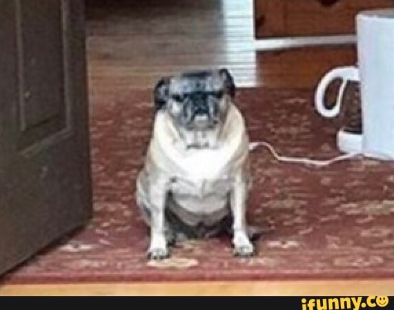 Clothesline memes. Best Collection of funny Clothesline pictures on iFunny