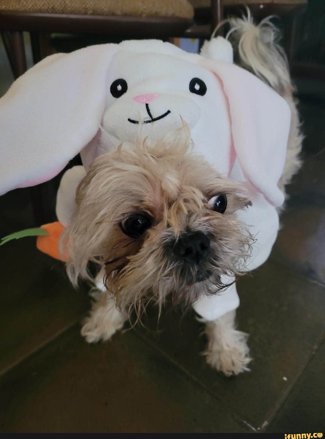 Sprocket memes. Best Collection of funny Sprocket pictures on iFunny