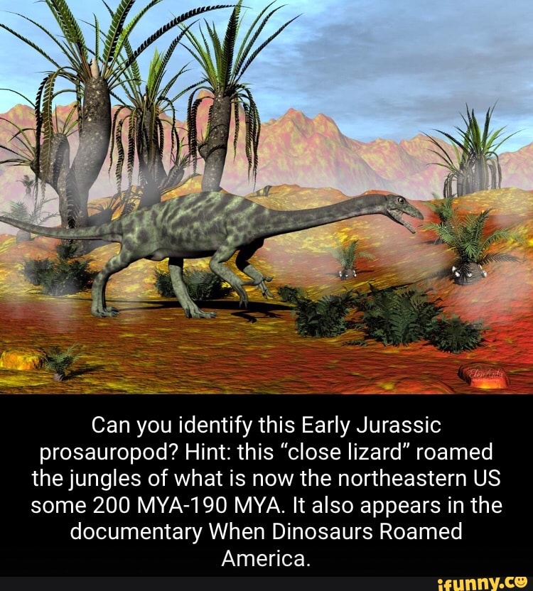 Can you identify this Early Jurassic prosauropod? Hint: this "close ...