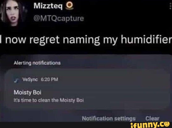 Mizzteq @MTQcaplure I now regret naming my humidifier Alerting ...
